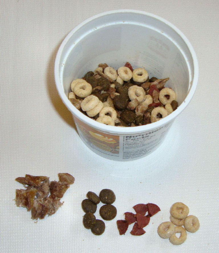 Lots of ways to reward your dog - 2 Minute Trainer