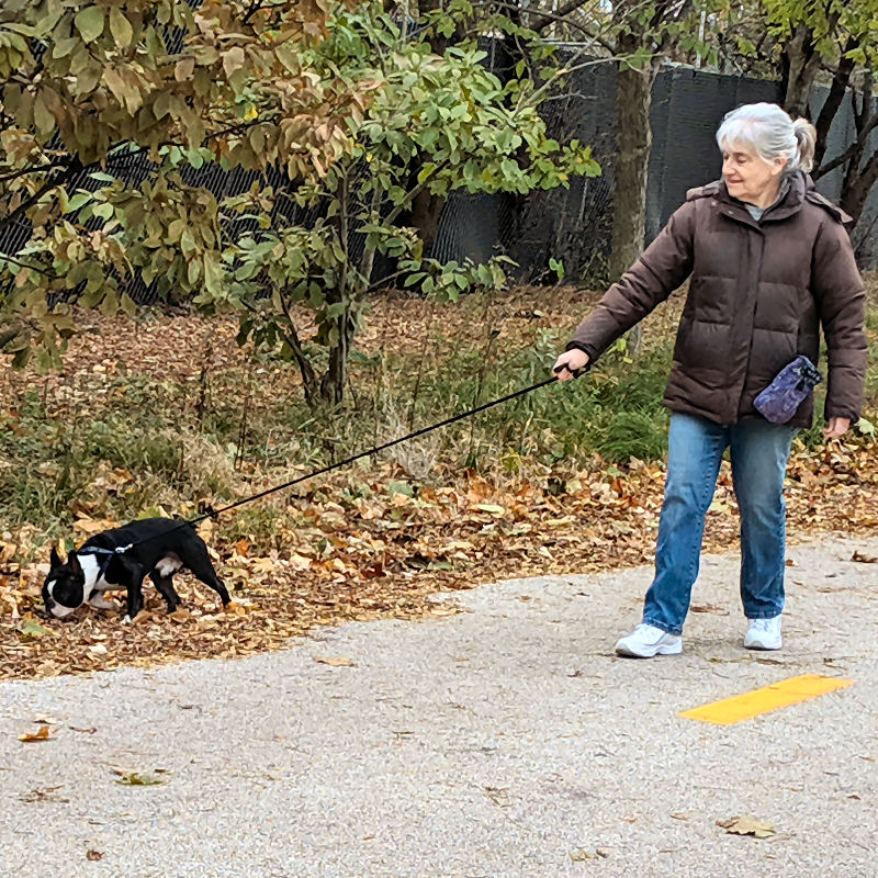 The 2-Minute Dog Training Method - 2 Minute Trainer