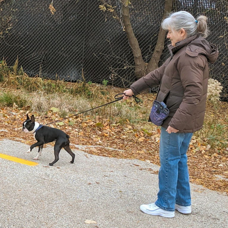 Loose leash dog walking - curing the pull - 2 Minute Trainer